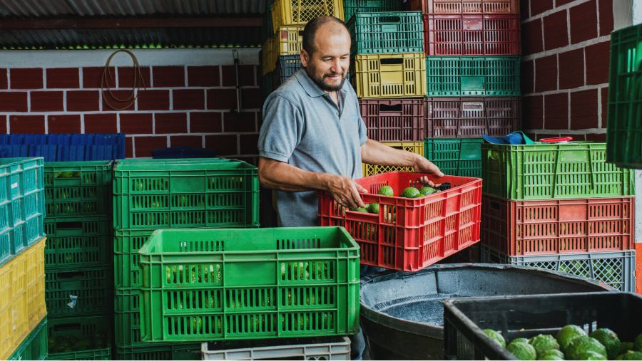 Expertise Archive - 60 Decibels