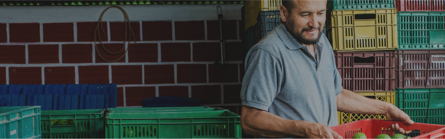 Micro & Small Businesses - 60 Decibels