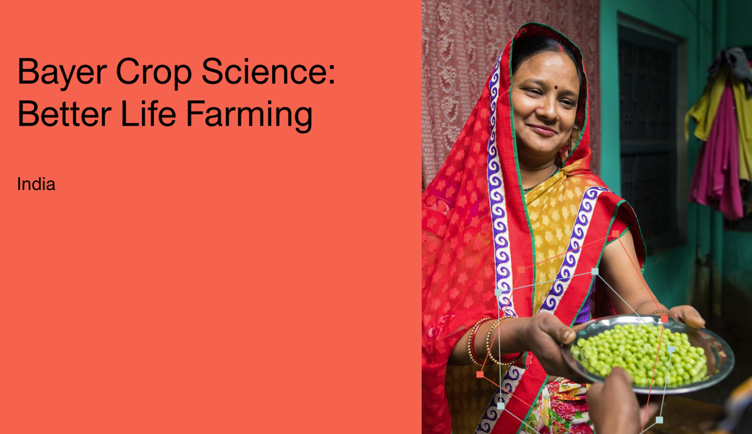 Bayer Improves Smallholder Farmers' Livelihoods - 60 Decibels