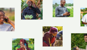 60 Decibels — Impact Measurement