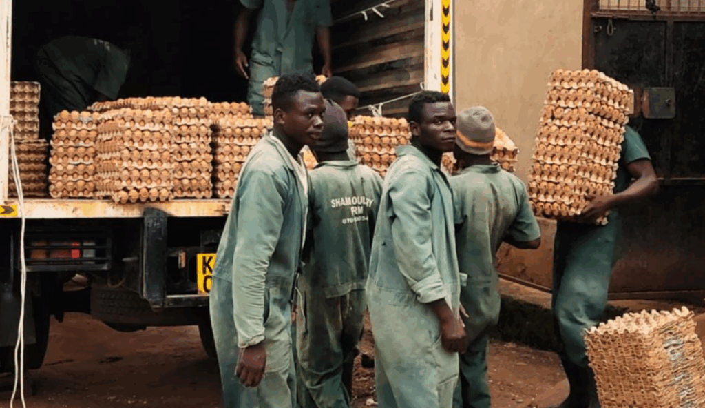 60 Decibels — Impact Measurement